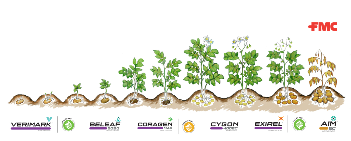FMC - Potatoes in CanadaPotatoes in Canada